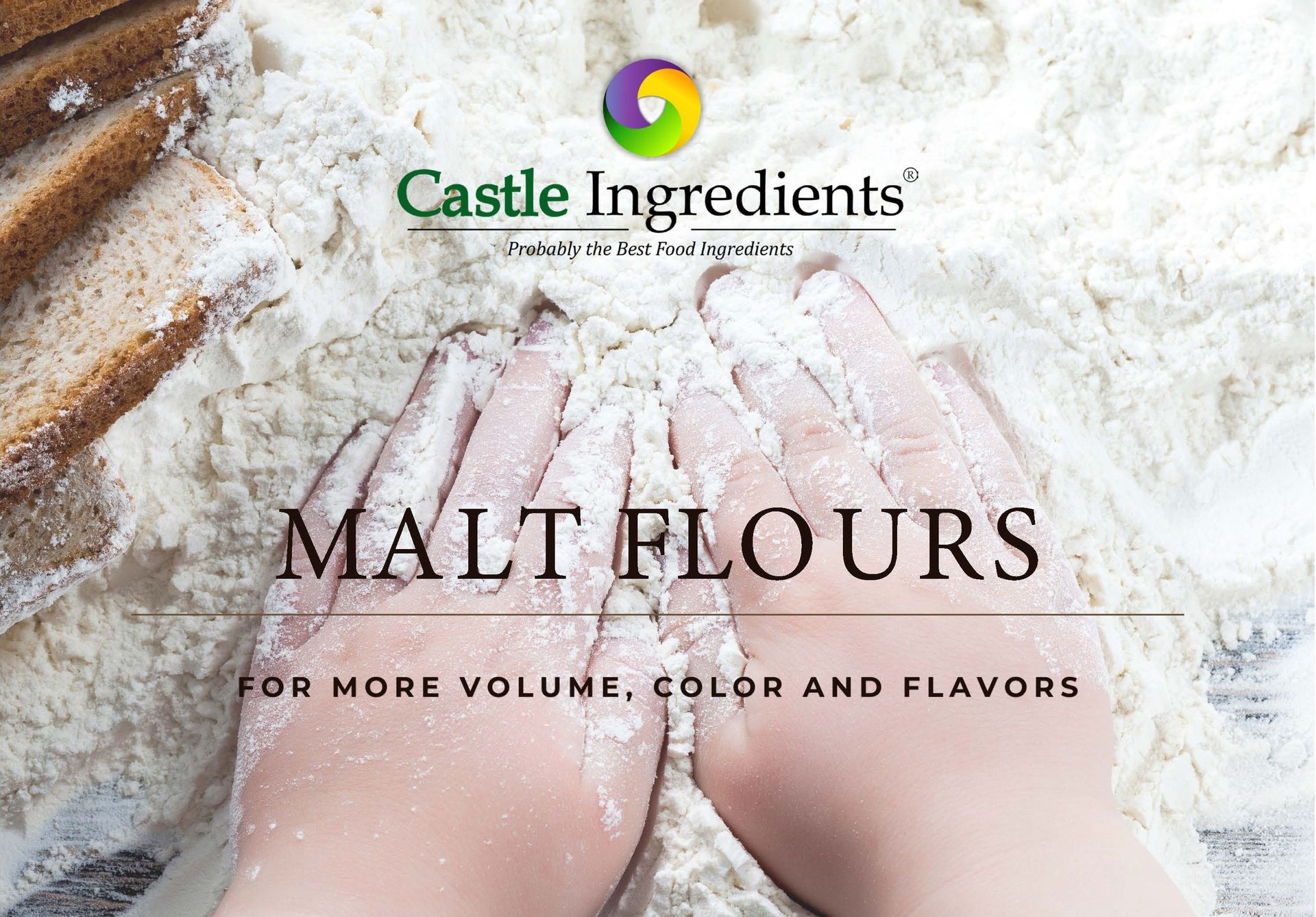 Our Catalogues | Castle-Group